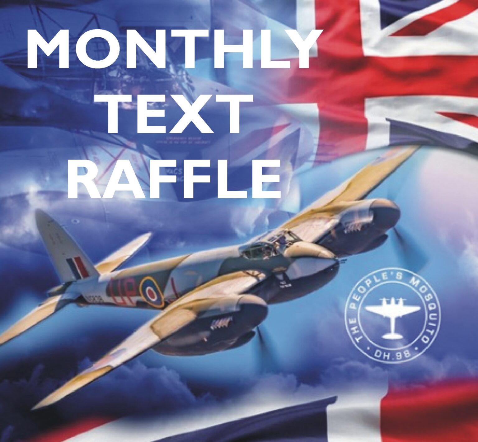 Text-Raffle-Logo - The People's Mosquito
